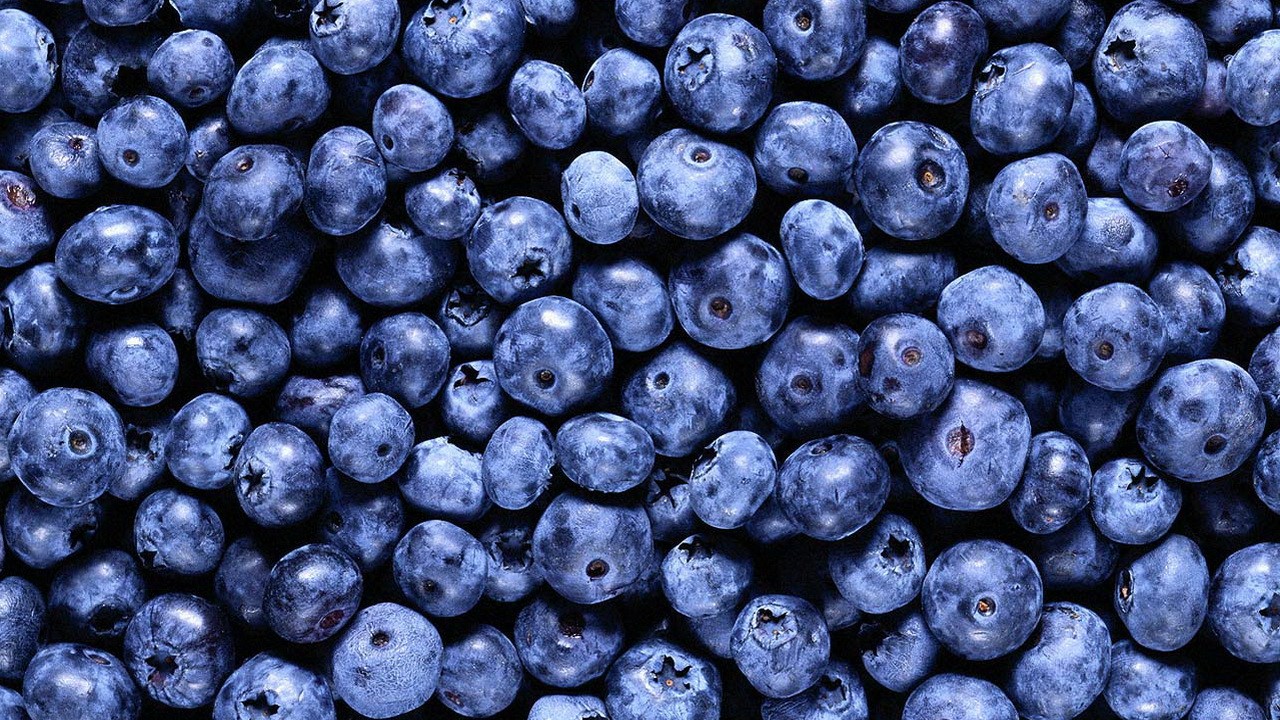 mora-azulRevistaMoi : RevistaMoi