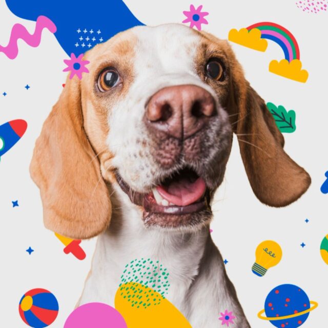 ¿De dónde viene la palabra Firulais?